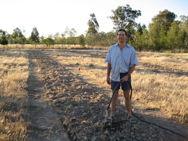 The acorns are dropping, it’s time to pick them up | Murrnong