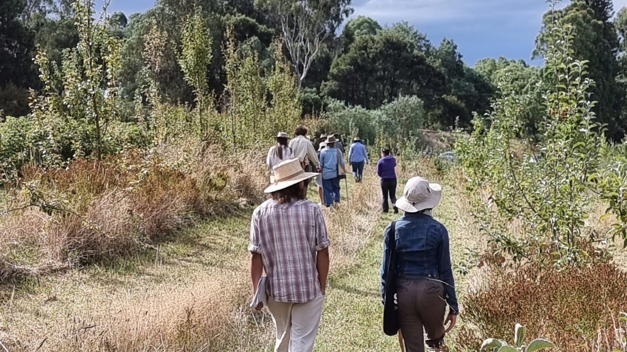 Murrnong Permaculture Design Course | Murrnong
